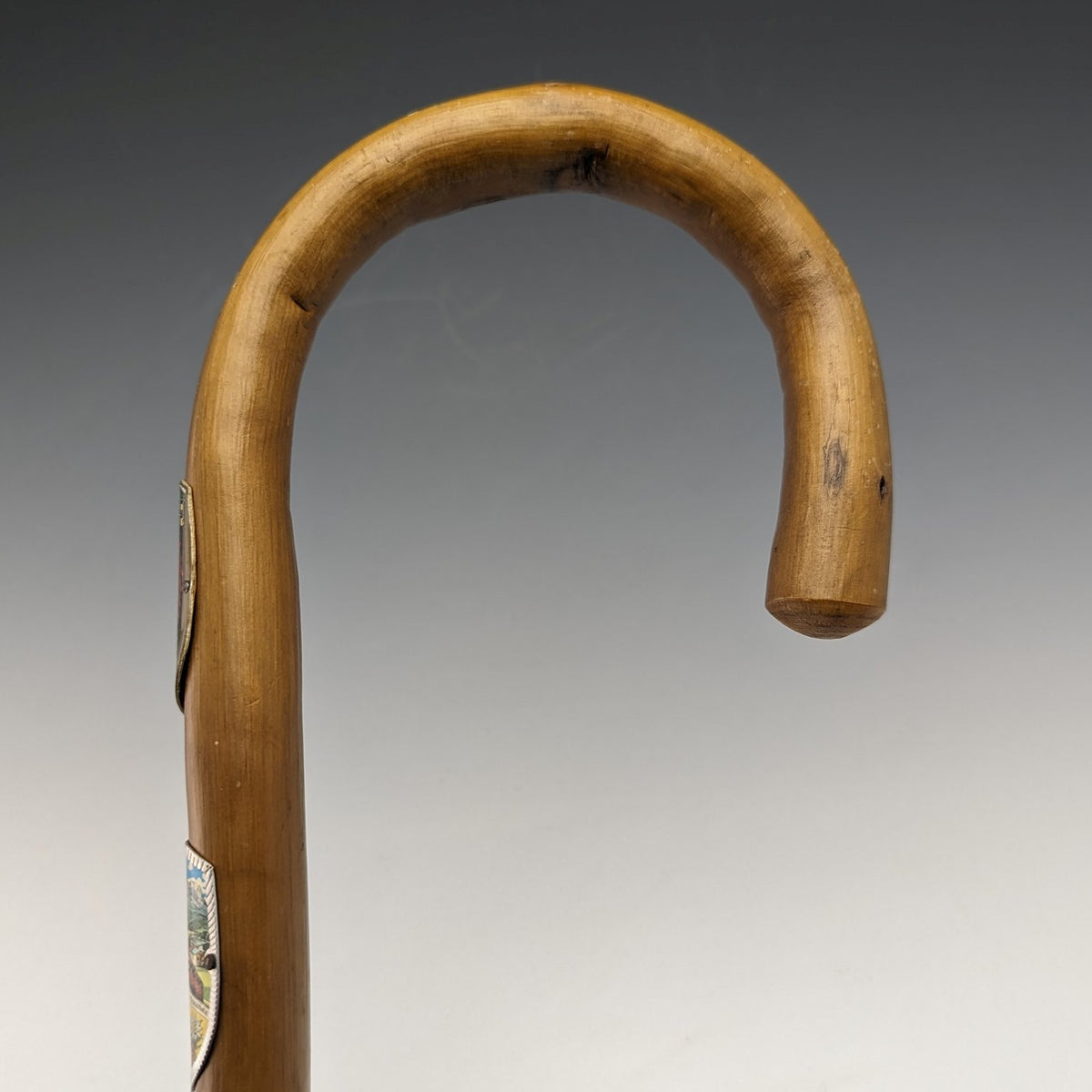 Vintage Men's European Tourist Cane Brown Shaft 84cm – SILVER-LUG